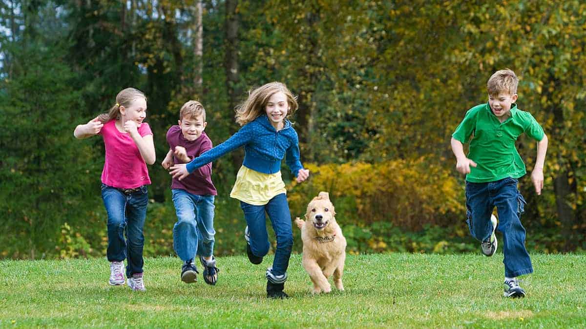 The Heart and Lung Hotline - Fun Kids - the UK's children's radio station