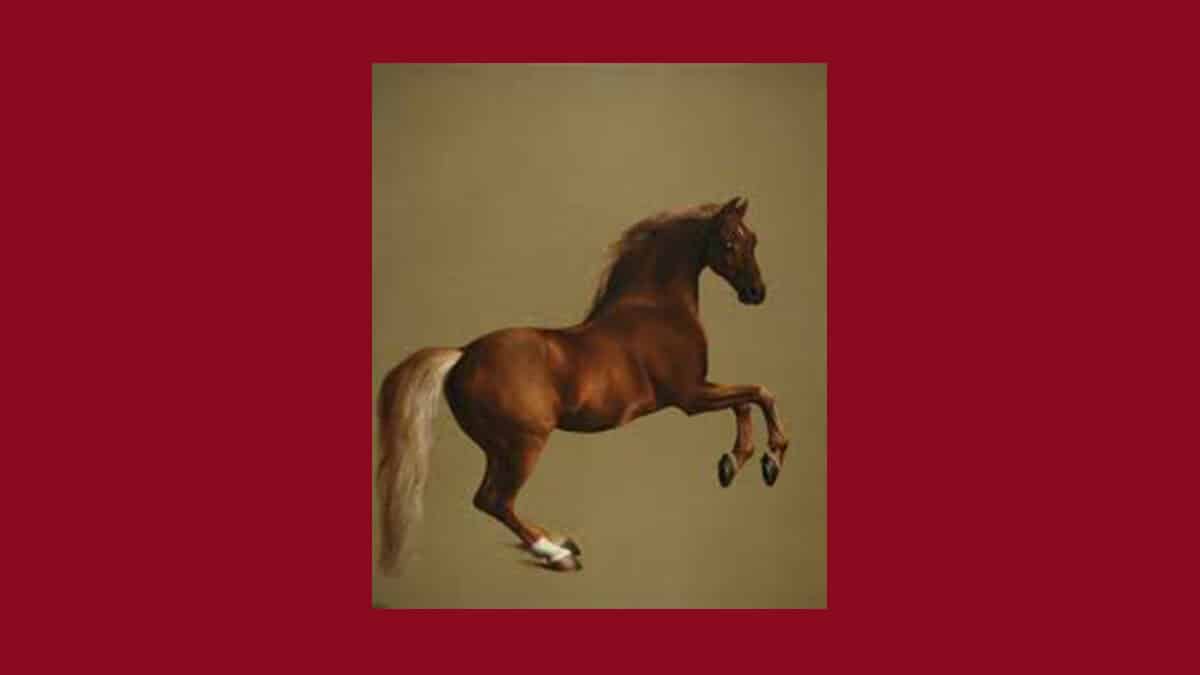 Painting Explorers: Whistlejacket - Fun Kids - the UK's children's ...