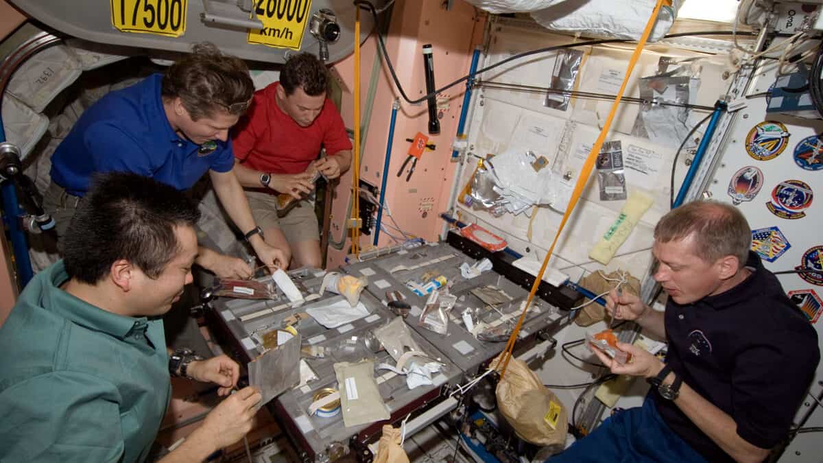 What is like to live in space? - Fun Kids - the UK's children's radio ...