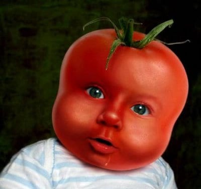 It's British Tomato Week - obviously! - Fun Kids - the UK's children's ...