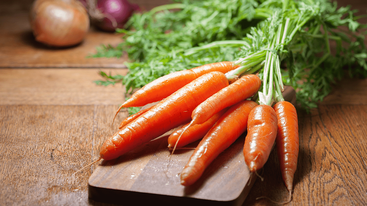 Why does sick always have carrots in? - Fun Kids - the UK's children's ...