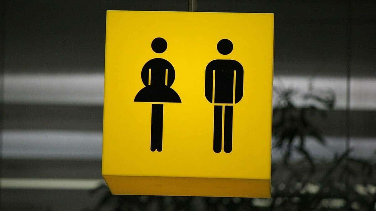 Urinary System - Fun Kids - the UK's children's radio station