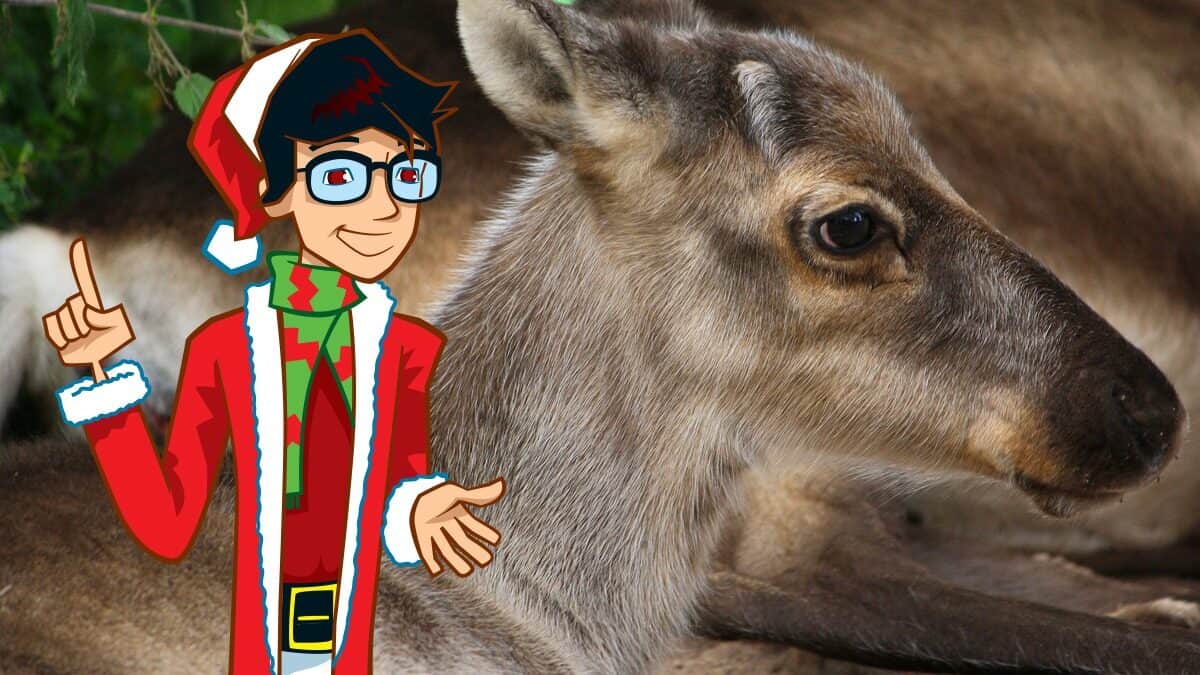 Why does Rudolph have a red nose? - Fun Kids - the UK's children's ...