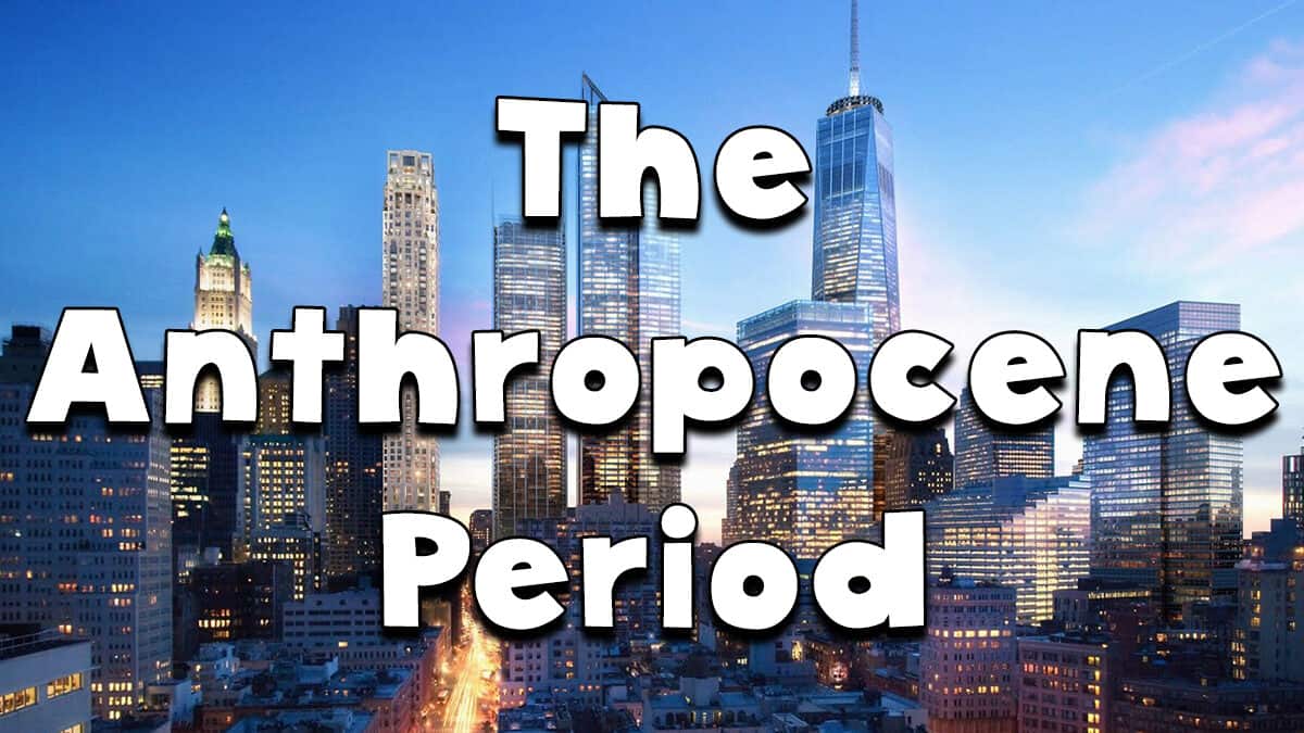 Geology Rocks - The Anthropocene Period - Fun Kids - the UK's children ...