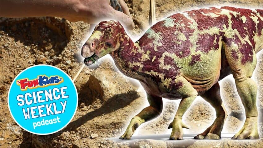 132 million-year-old Iguanodon dinosaur fossil discovered under brick ...