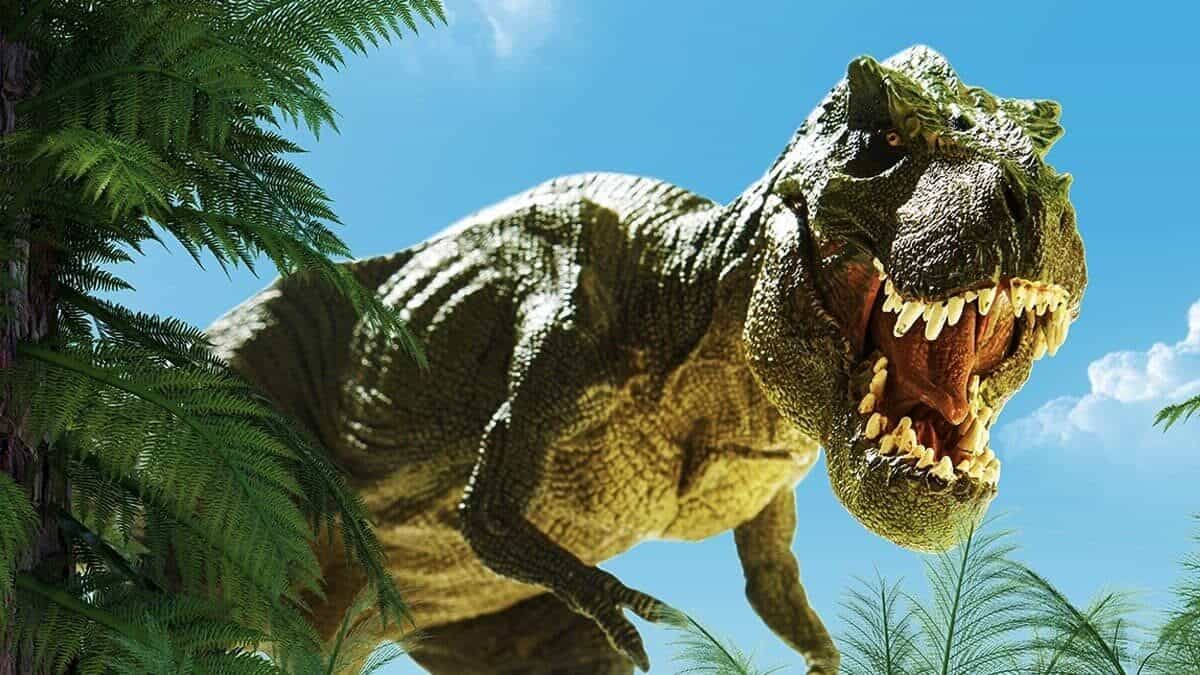 Deadliest predators ever and could Usain Bolt outrun a cheetah? - Fun ...