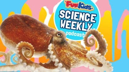 Slime, alien octopuses and deadly centipedes in the Fun Kids Science ...