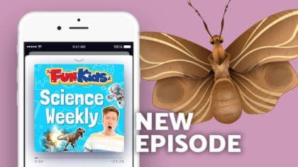 Clever moths and dangerous ants in the Fun Kids Science Weekly podcats ...