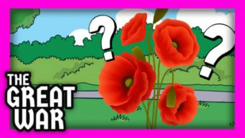 Why do we wear poppies every year? - Fun Kids - the UK's children's ...