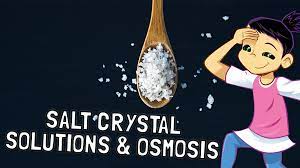 Salt Crystal Solutions and Osmosis - Fun Kids - the UK's children's ...
