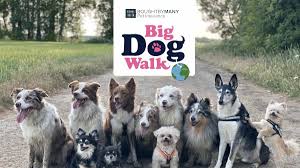 The World Big Dog Walk Challenge - Fun Kids - the UK's children's radio ...