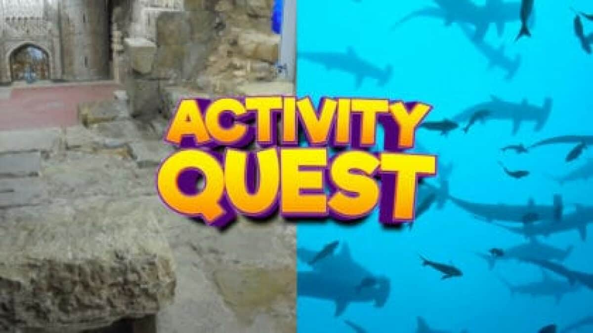 Museum of Gloucester, the ocean in your classroom and mites on the farm ...