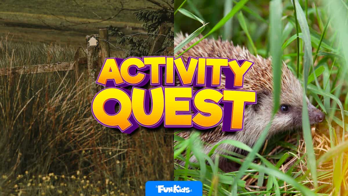 Rambling, hedgehog homes, and zoo memories in Activity Quest, the stuff ...