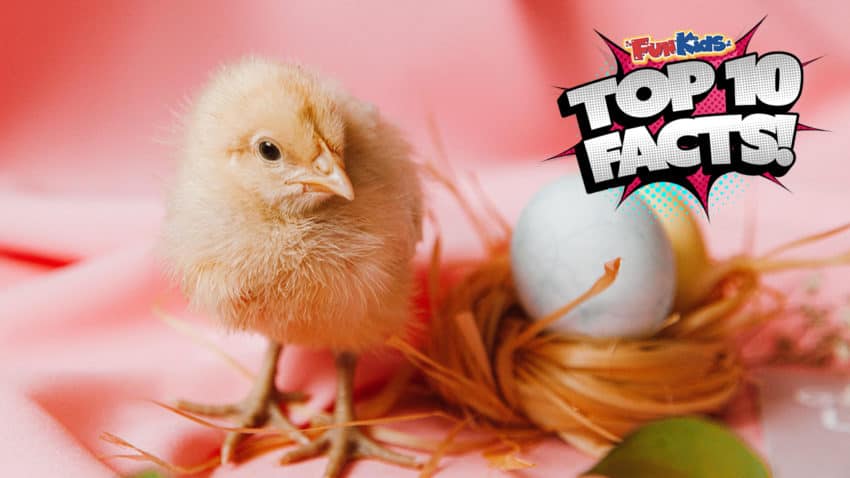Top 10 Facts About Easter! - Fun Kids - the UK's children's radio station