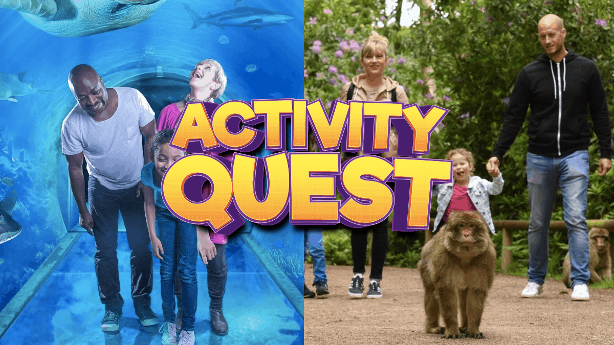 Monkey Forest, Matt Haig and SEA LIFE Birmingham in Activity Quest, the ...
