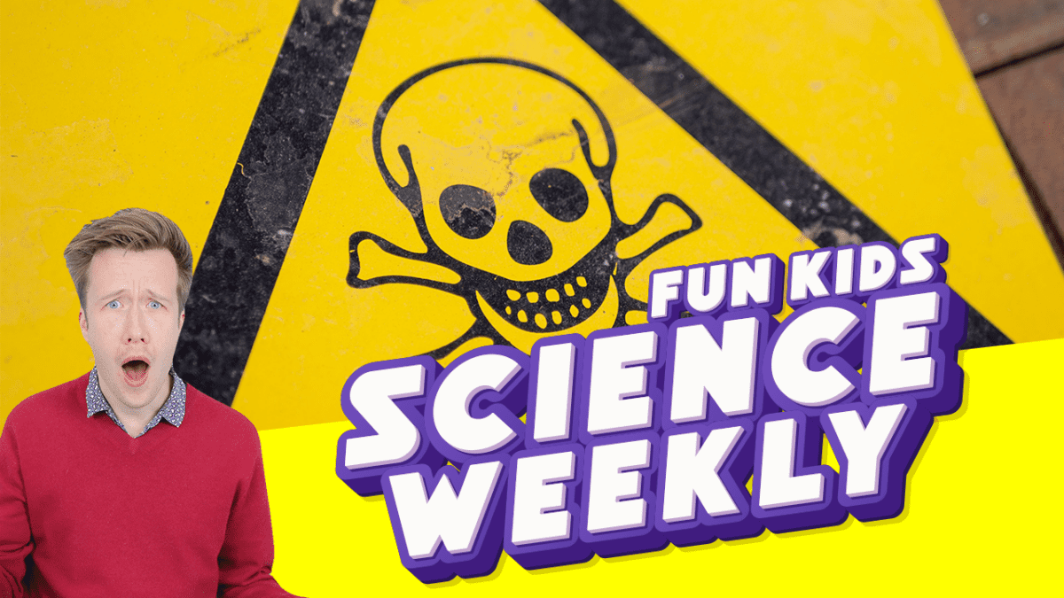 The Deadliest Fart in the Animal Kingdom! - Fun Kids - the UK's ...