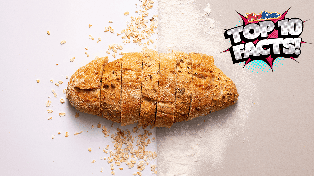 Top 10 Facts About Bread! - Fun Kids - the UK's children's radio station