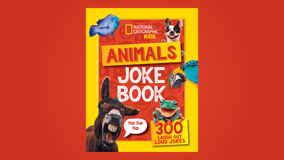Laugh out loud with Animals Joke Book! - Fun Kids - the UK's children's ...