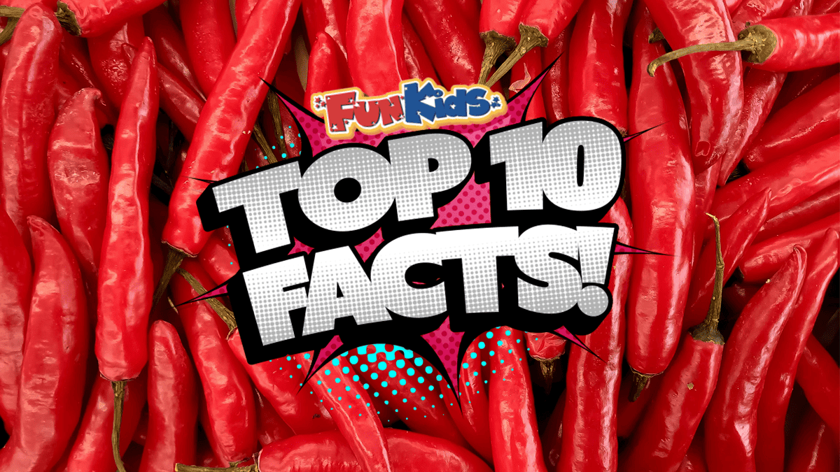 Top 10 Facts About Chillies! - Fun Kids - the UK's children's radio station