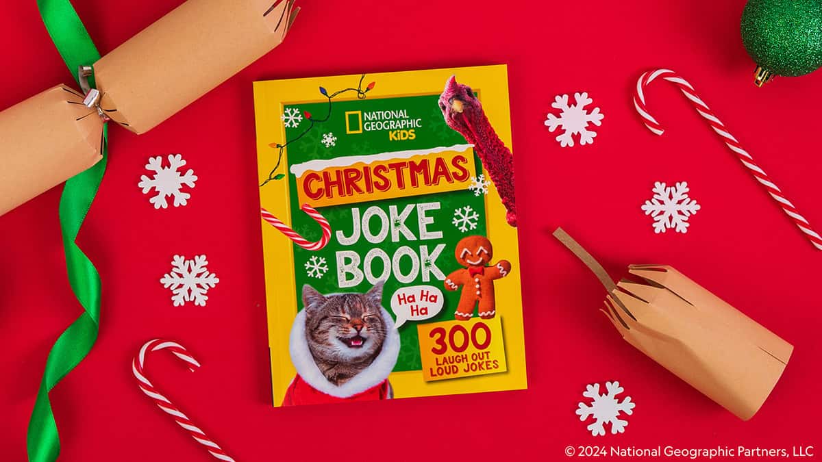 New 'Christmas Joke Book' is out now by National Geographic Kids! - Fun ...