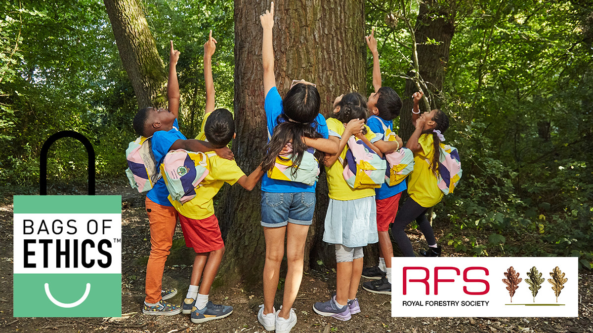 Earn your Green Tree Badge with fun tree-based activities! - Fun Kids ...