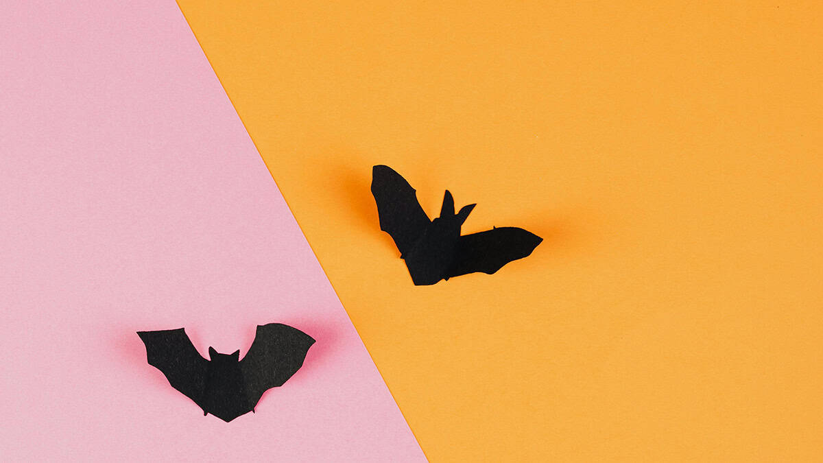 Top 10 Facts About Bats! - Fun Kids - the UK's children's radio station