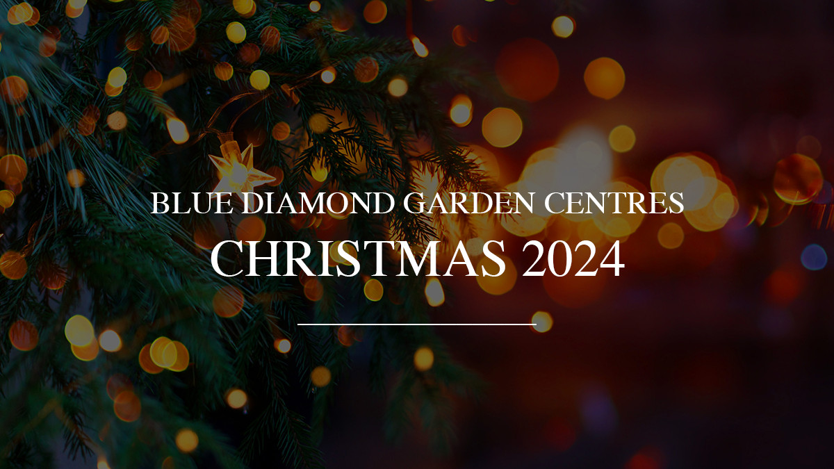 Blue Diamond Garden Centres Section - Fun Kids - the UK's children's ...