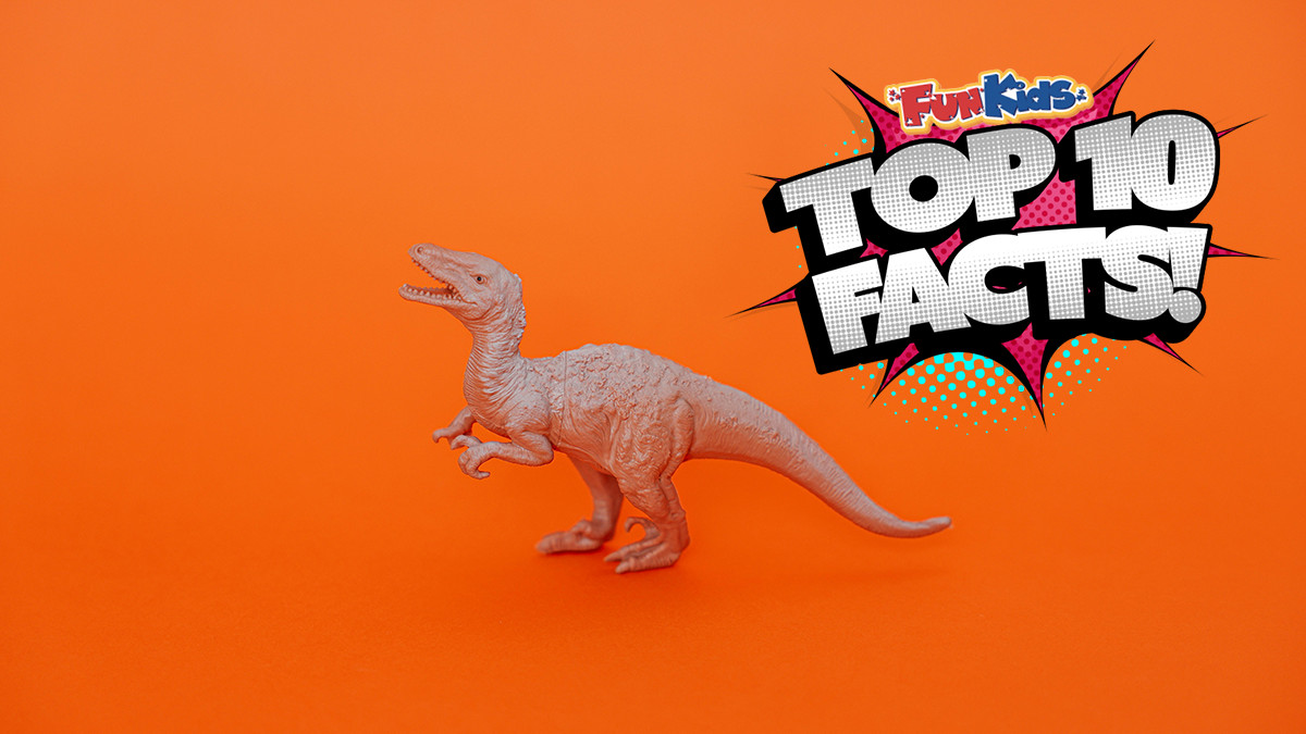 10 Facts About The Velociraptor Dinosaur Dinosaurs: VELOCIRAPTOR Ten