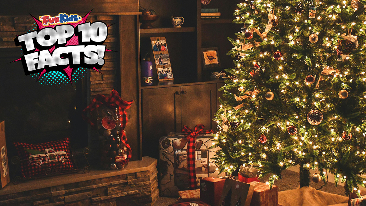Top 10 Facts About Christmas Trees! - Fun Kids - the UK's children's ...