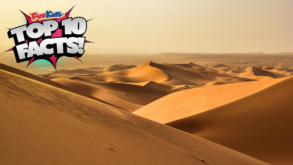Top 10 Facts About The Sahara Desert! - Fun Kids - the UK's children's ...