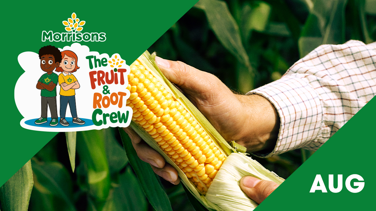 Everything you need to know about... sweetcorn! - Fun Kids - the UK's ...
