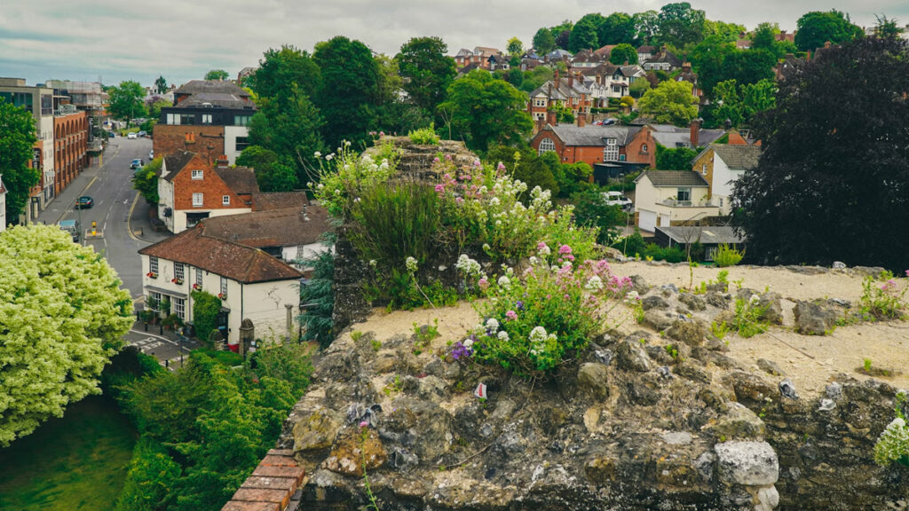 Summer in Guildford: 11 Brilliant Things to Do with the Kids (2026 ...